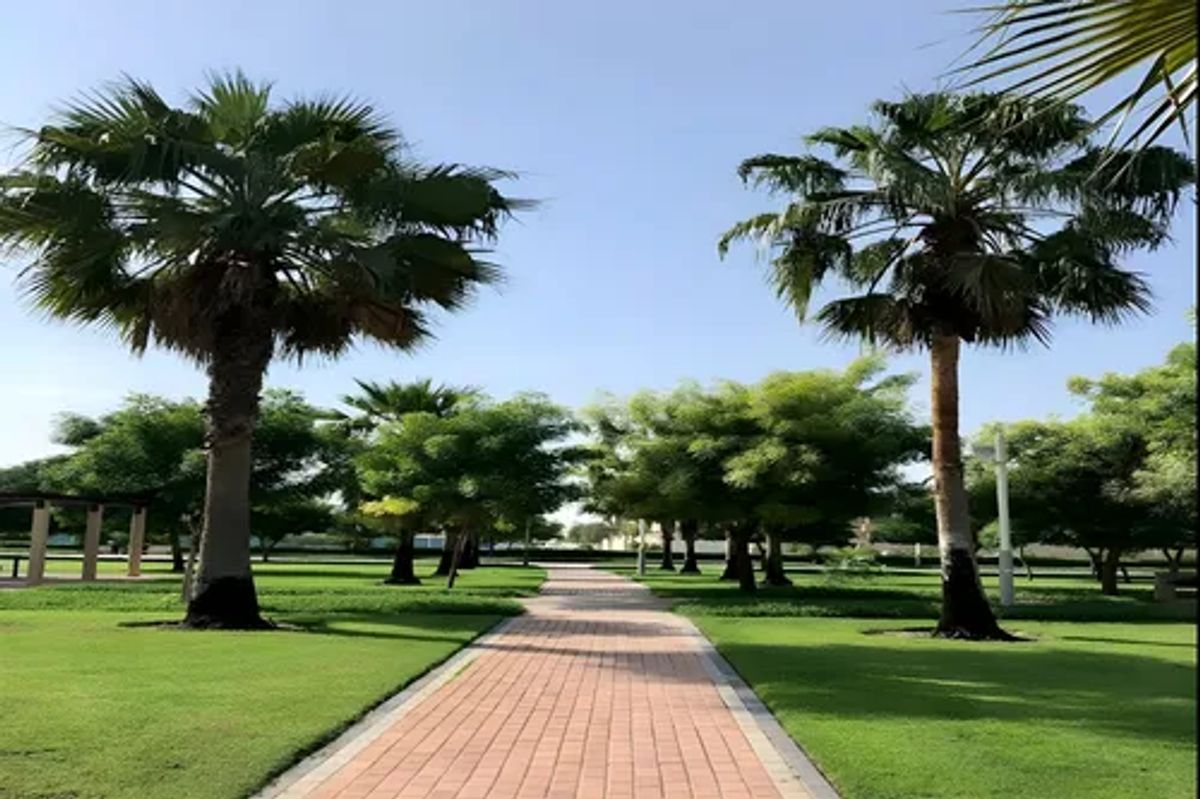 Al Warqa 3 Area Guide – Villas, Apartments & Lifestyle