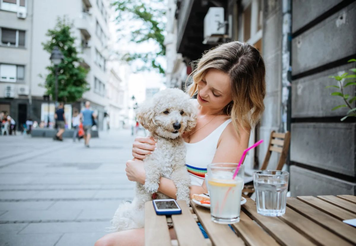 Best Pet-Friendly Communities in Dubai